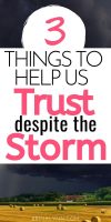 3 Things to Help Us Trust Despite the Storm - BrinaLynn