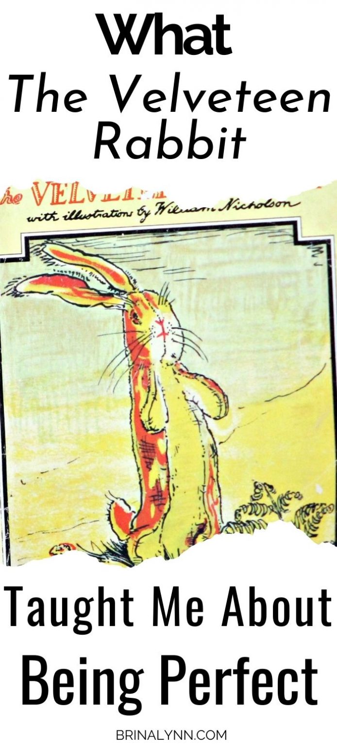 What the Velveteen Rabbit Taught Me About Being Perfect - BrinaLynn