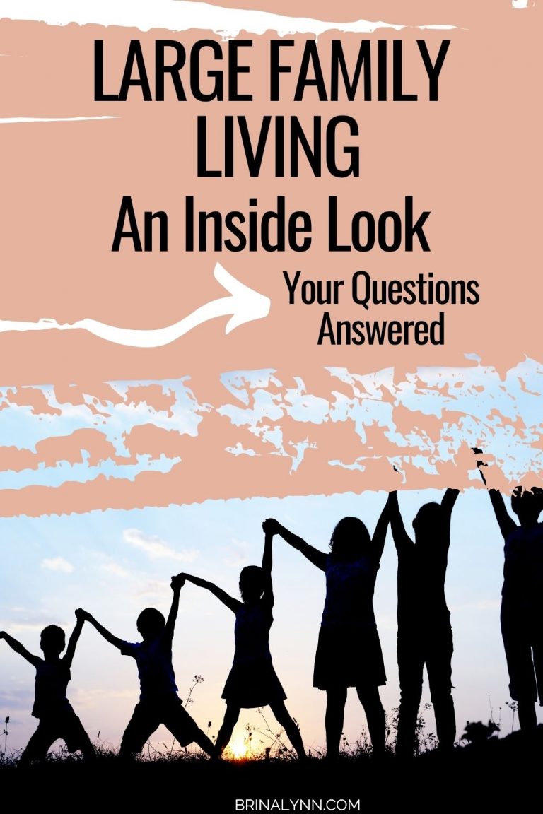 Everything You Want To Know About Large Families - BrinaLynn